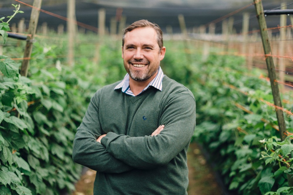 Haygrove Directors | Haygrove