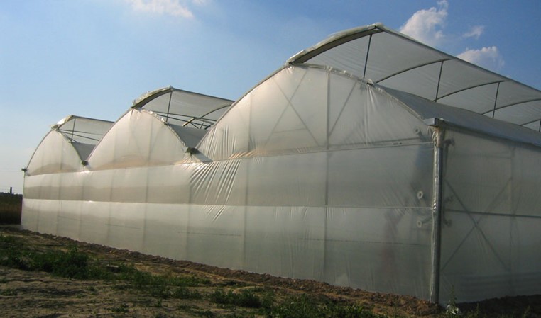 Serra Series Double Skin Tunnels at Haygrove Farm, UK | Haygrove