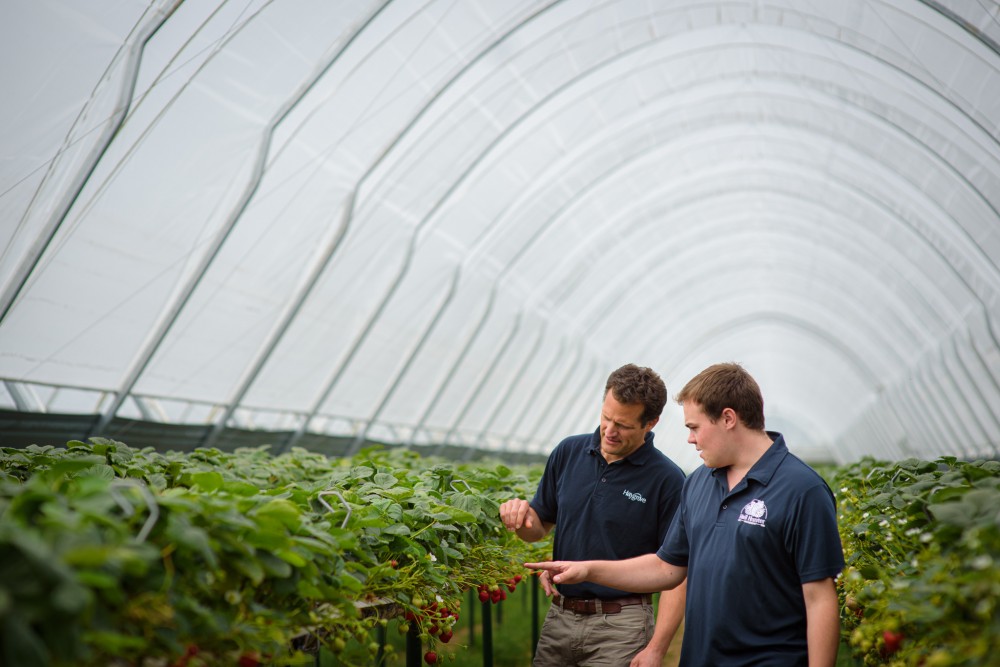 Substrate Gutter Systems | Sustainable Growing | Haygrove | Haygrove