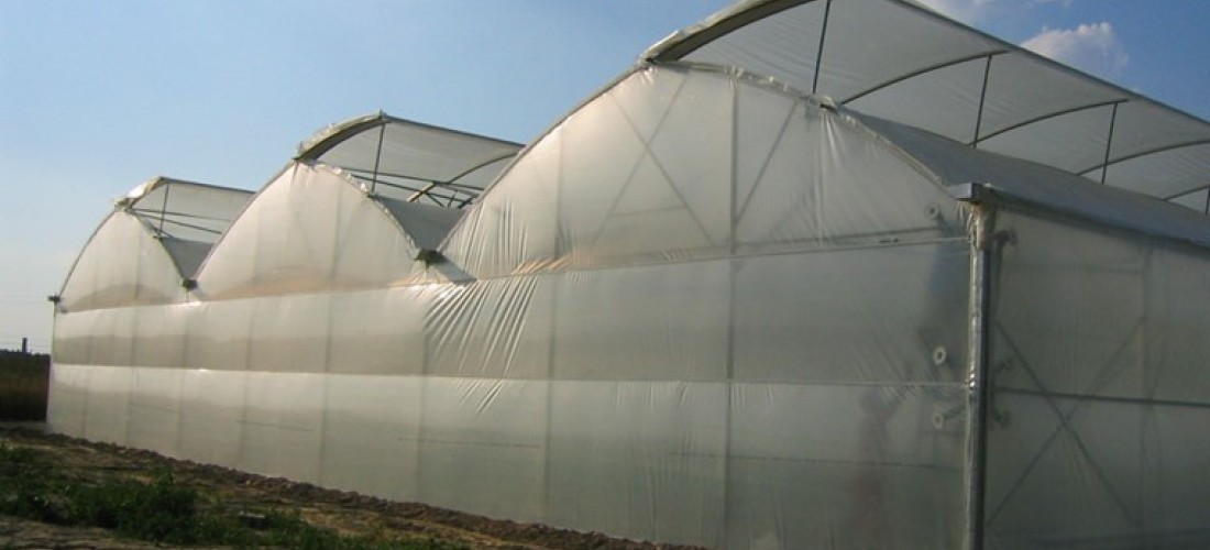 Double skin tunnels | Polytunnels | Haygrove