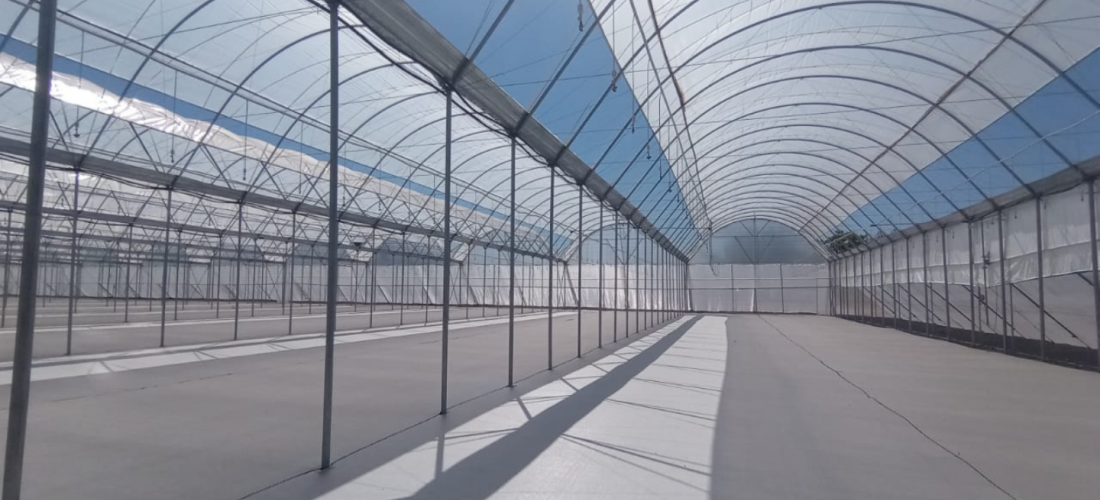 Provent | Polytunnels | Haygrove