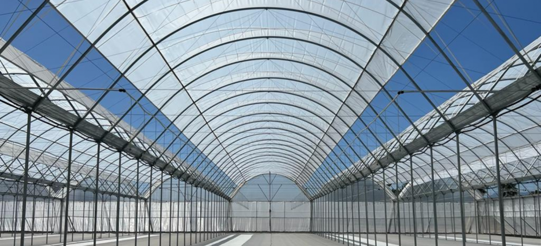 Provent | Polytunnels | Haygrove