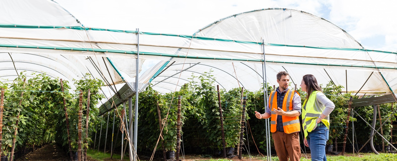 Contact Us | Haygrove